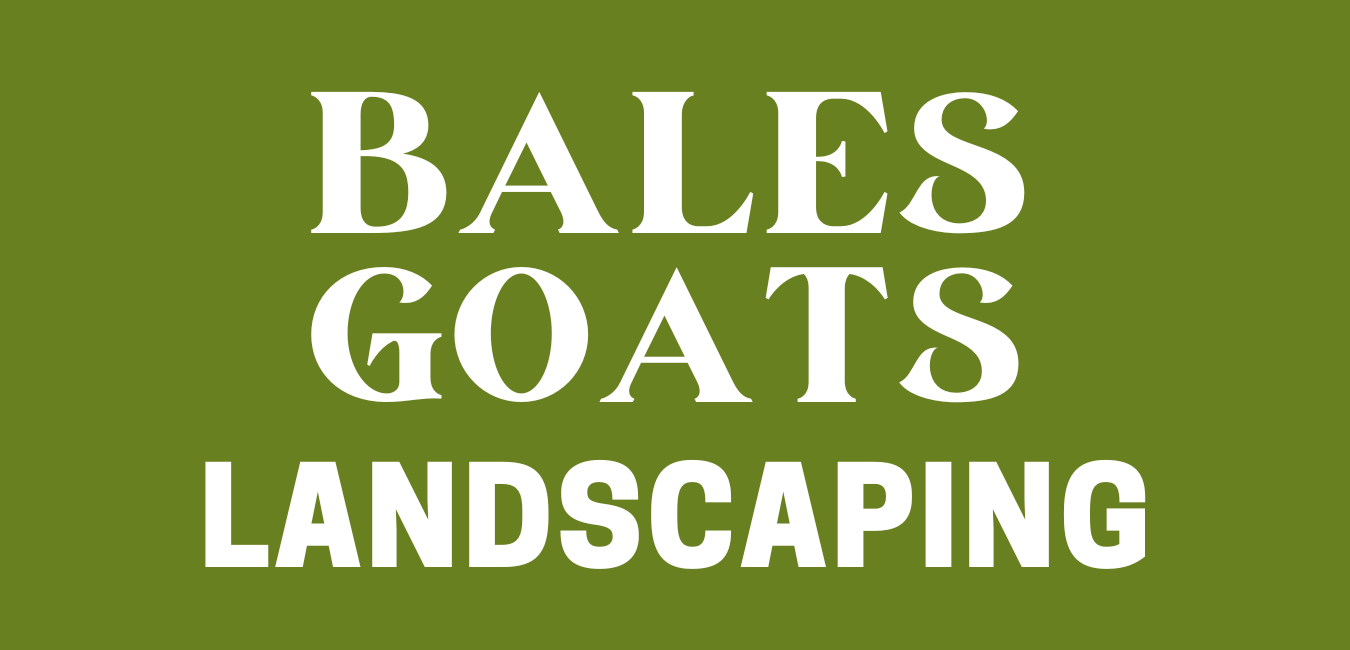 Bales Goats: Goat Landscaping